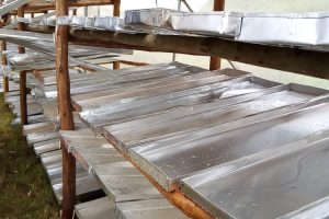 Fodder Systems – Hydroponics Africa